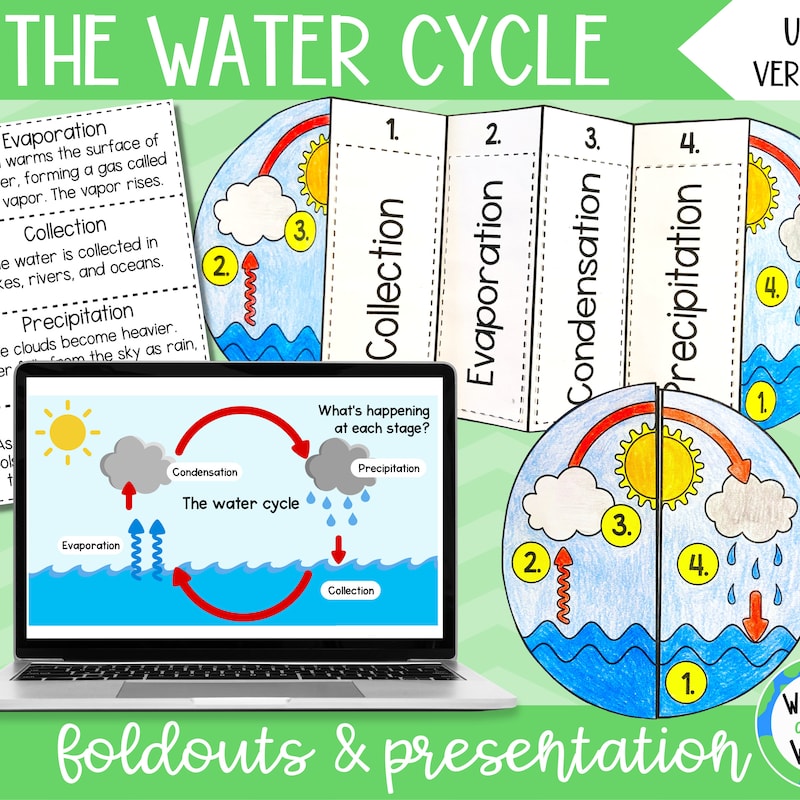 Water Cycle Elementary - Etsy