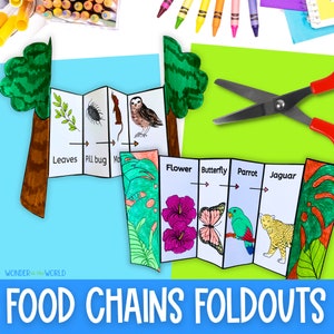 Food Chains Foldable Activity for Kids A4 and 11x8.5 Inch Digital ...