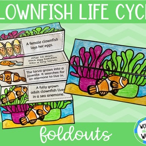 Life Cycle of a Clownfish Foldable Kids' Craft A4 and - Etsy