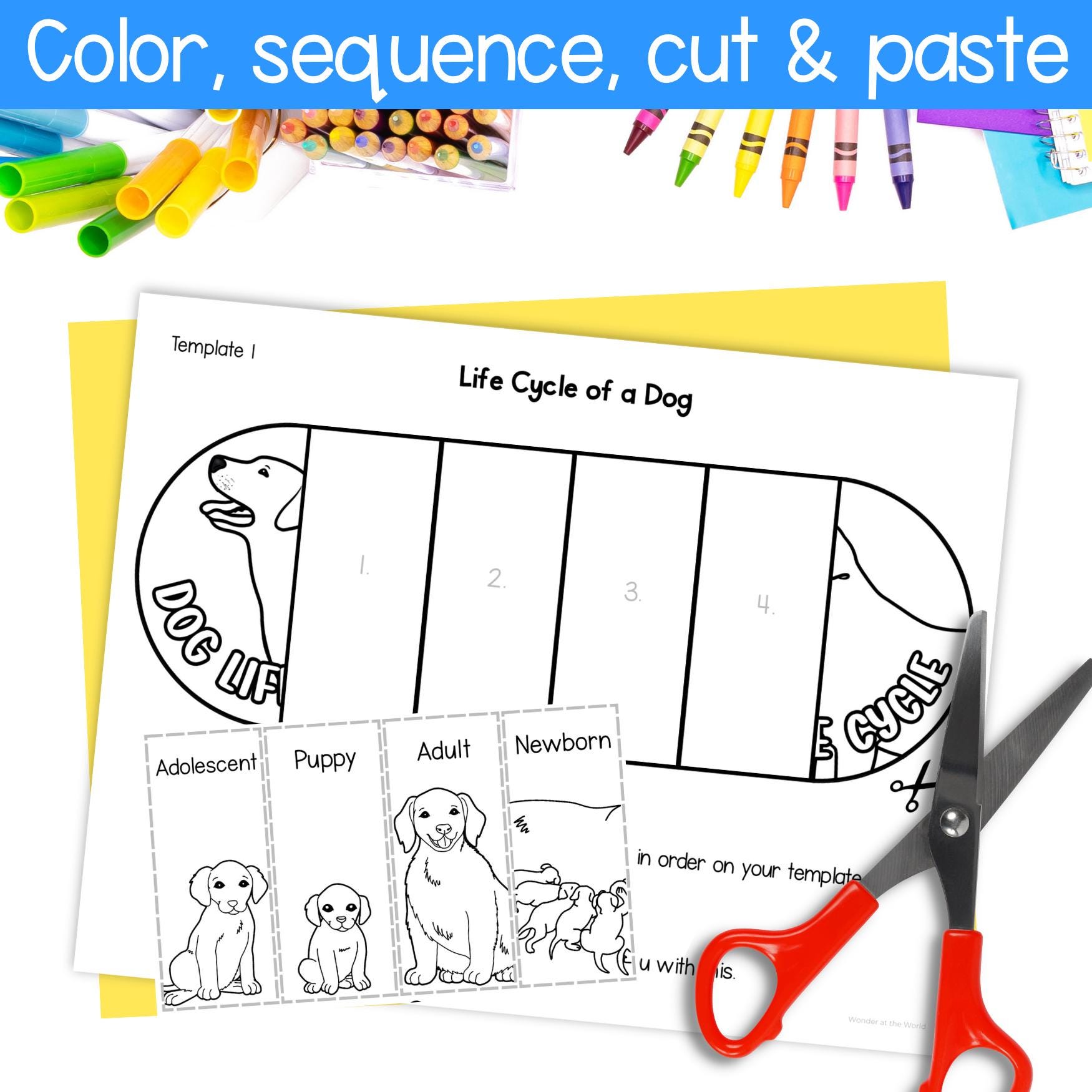 Life Cycle of a Dog Mammal Sequence and Fold Science Craft Activity ...