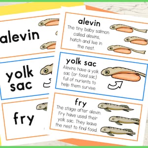 Life Cycle of a Salmon Fish Foldable Science Activity and Vocabulary ...