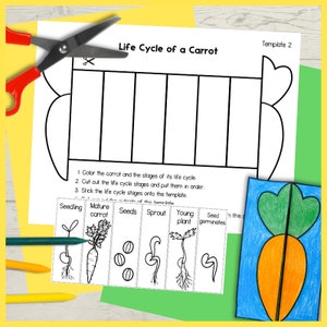 Life Cycles of Edible Plants Sequence and Fold Science Craft Activities ...