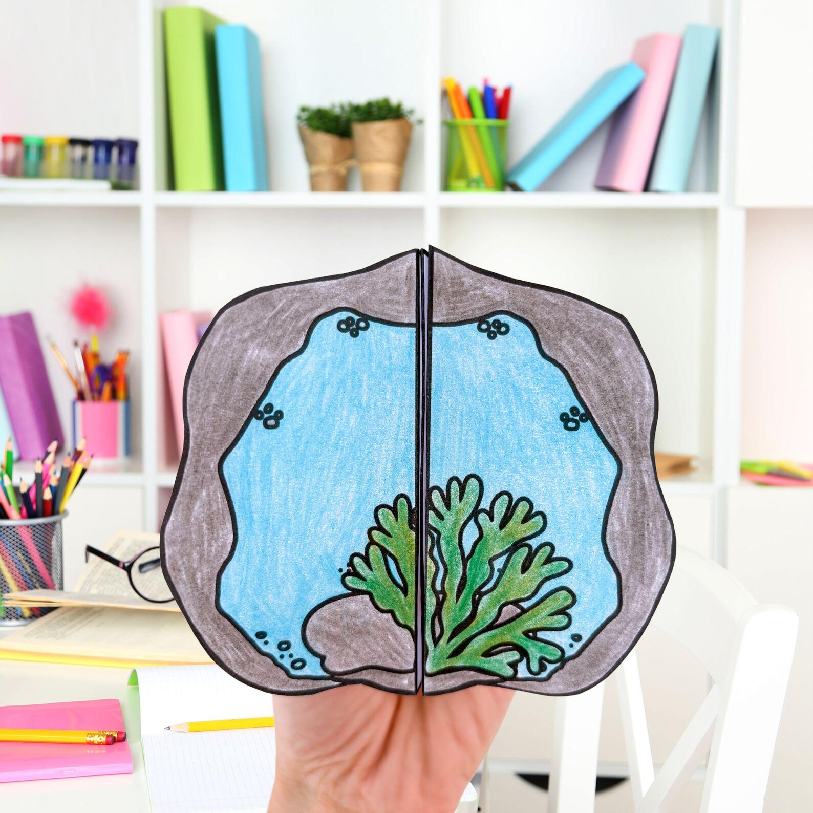 Animal microhabitats foldout kids' science activity for a tide rock ...