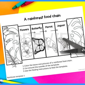 Food Chains Foldable Activity for Kids A4 and 11x8.5 Inch Digital ...