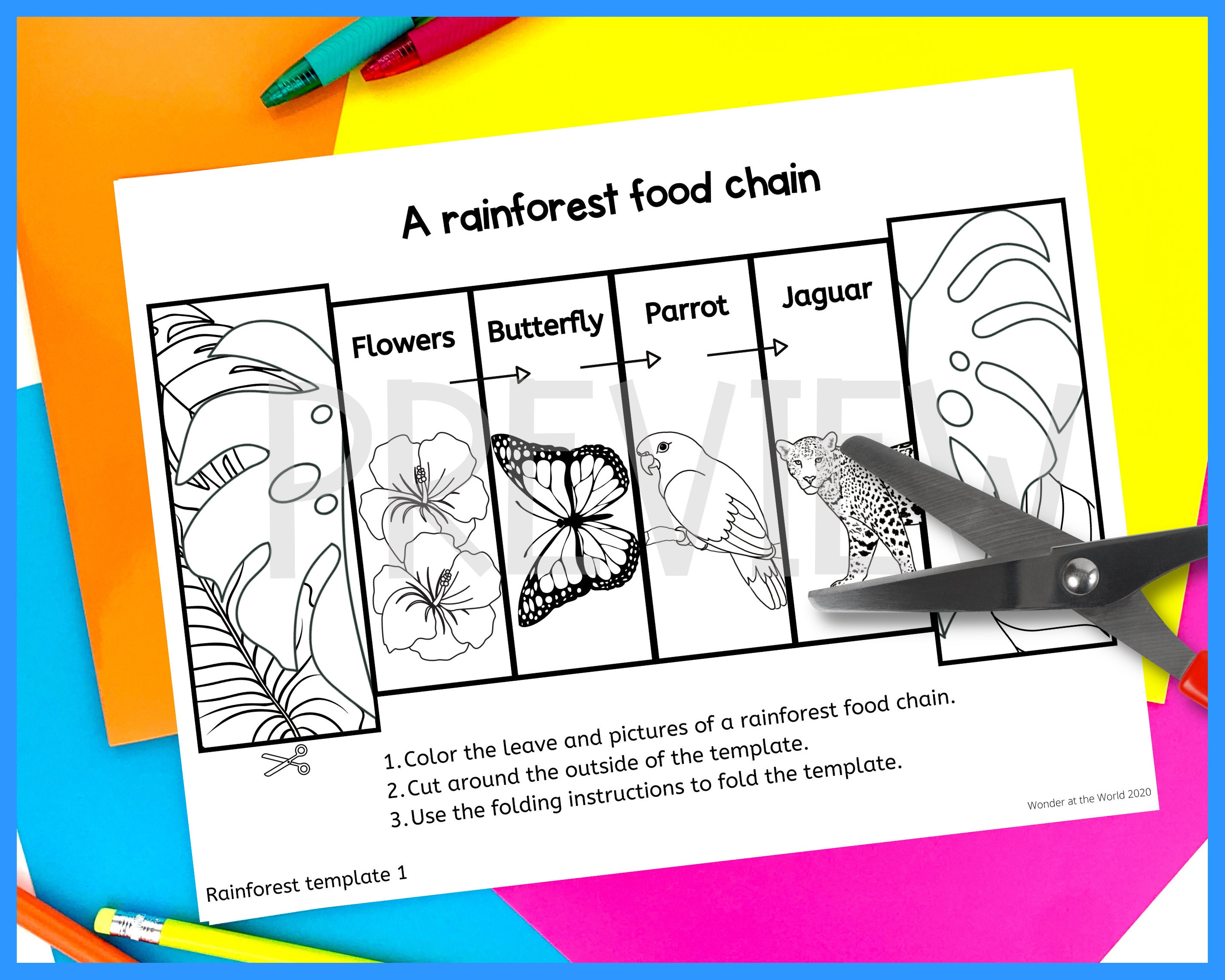 Food Chains Foldable Activity for Kids A4 and 11x8.5 Inch Digital ...