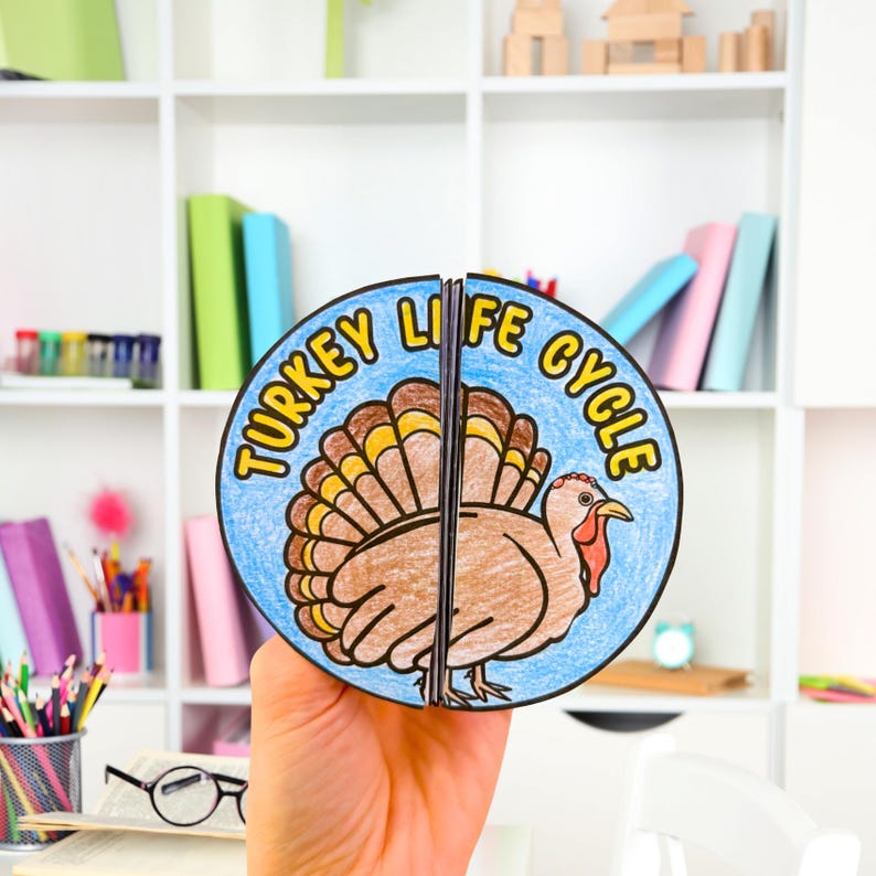 Life Cycle of a Turkey Sequence and Fold Kids' Craft Activity | 11x8.5 ...