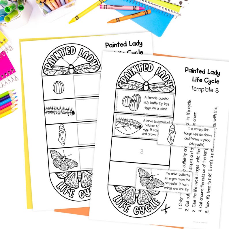 Painted Lady Butterfly & Caterpillar Printables Life Cycle, Observation ...