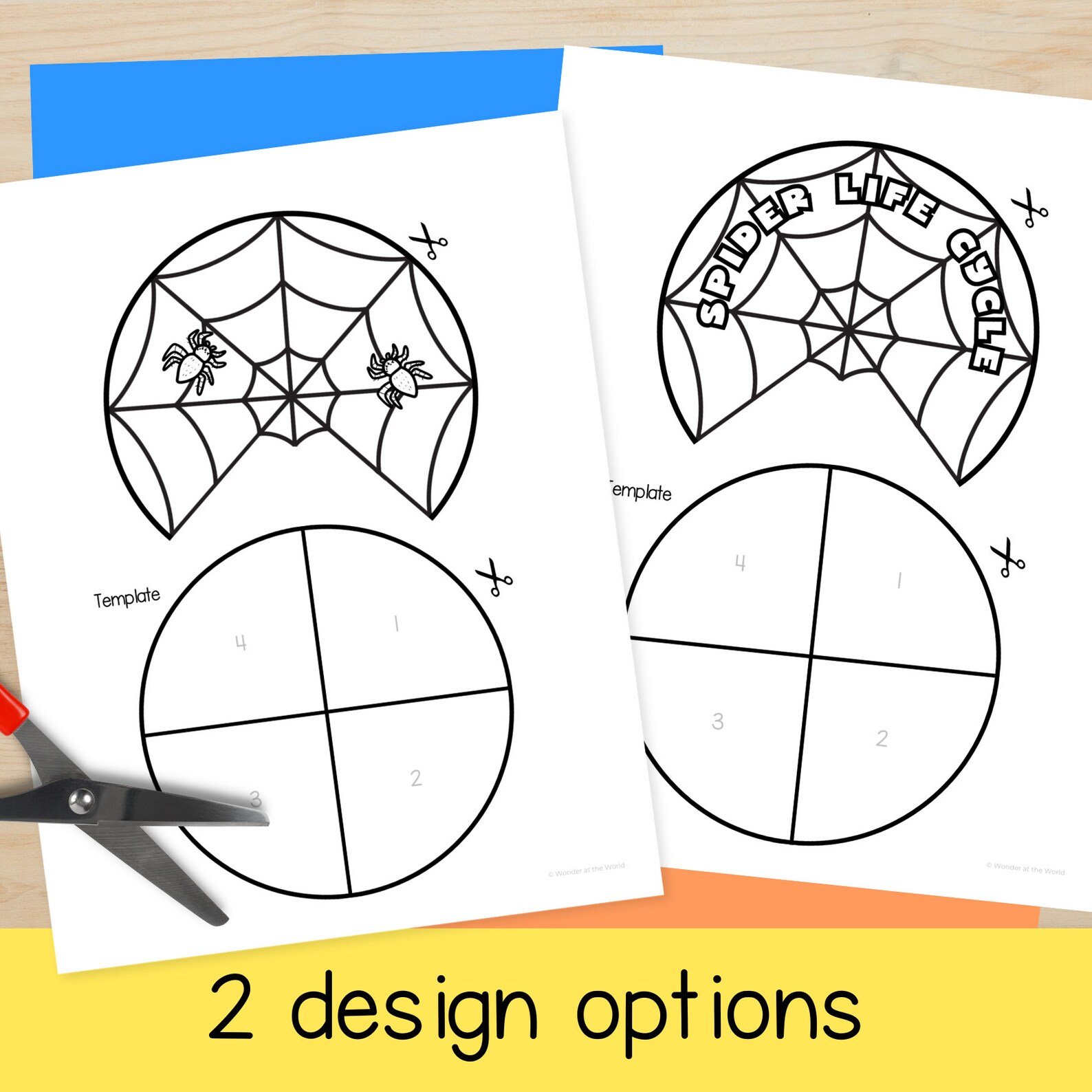 Life Cycle of a Spider Spinner Wheel Science Craft Cut and Paste ...