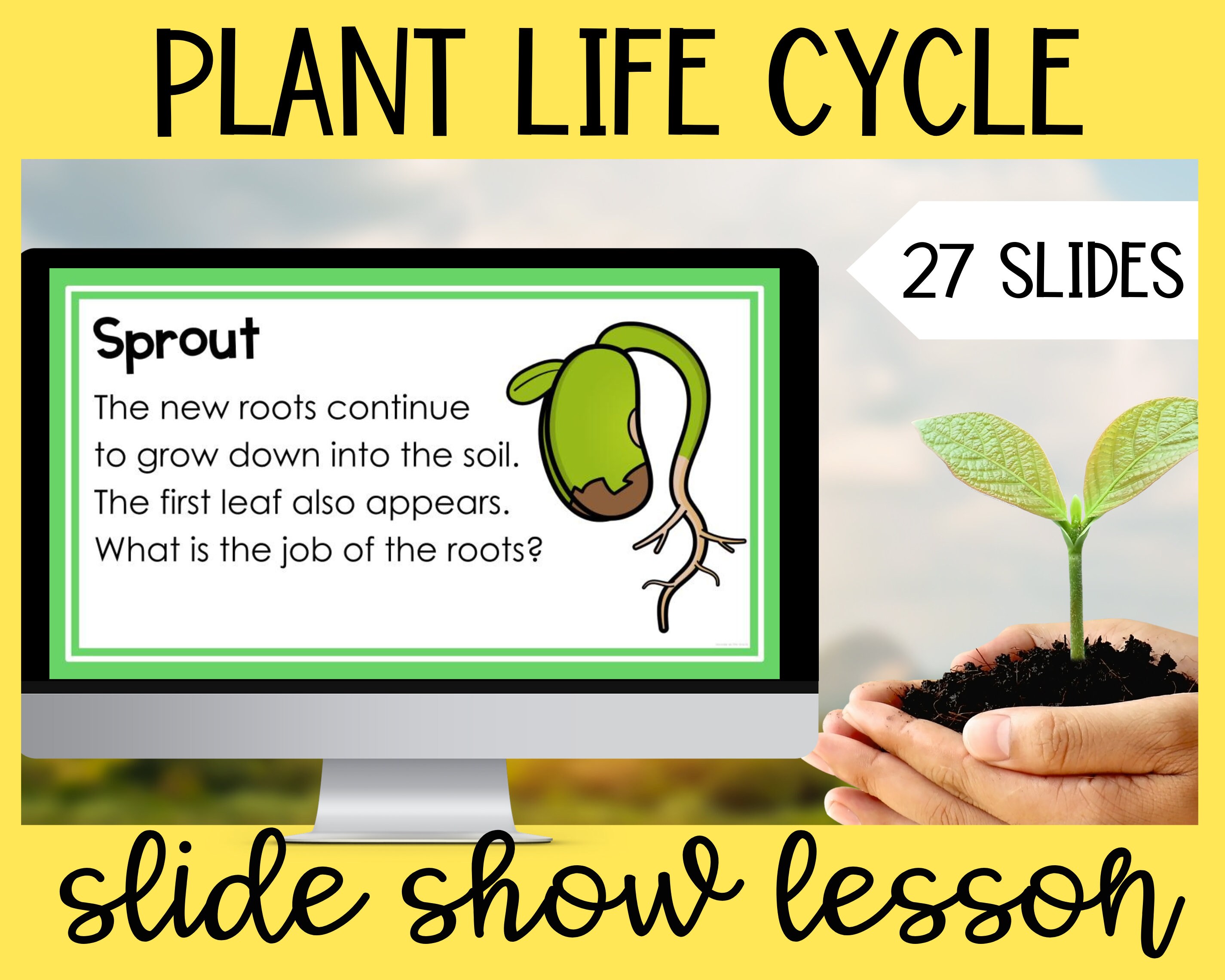 Life Cycle of a Flowering Plant Google Slides Presentation for Teachers ...