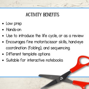 Human Life Cycle Foldable Sequencing Activity for Kids Printable US ...
