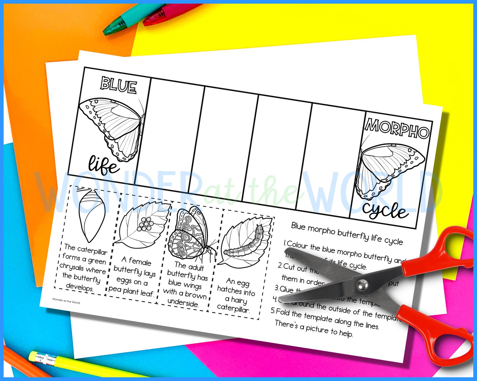 Amazon Lapbook Foldable Printable Templates Digital Download Kids ...