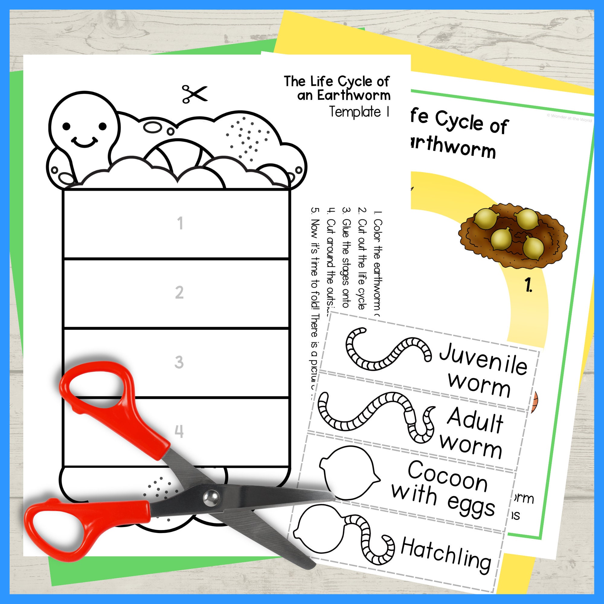 Soil Foldout Activities for Teaching Layers of Soil, Composting and ...