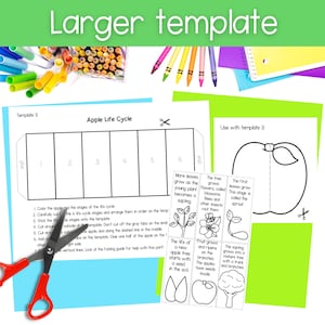 Life Cycle of an Apple Tree Foldable Activity for Kids Printable | A4 ...