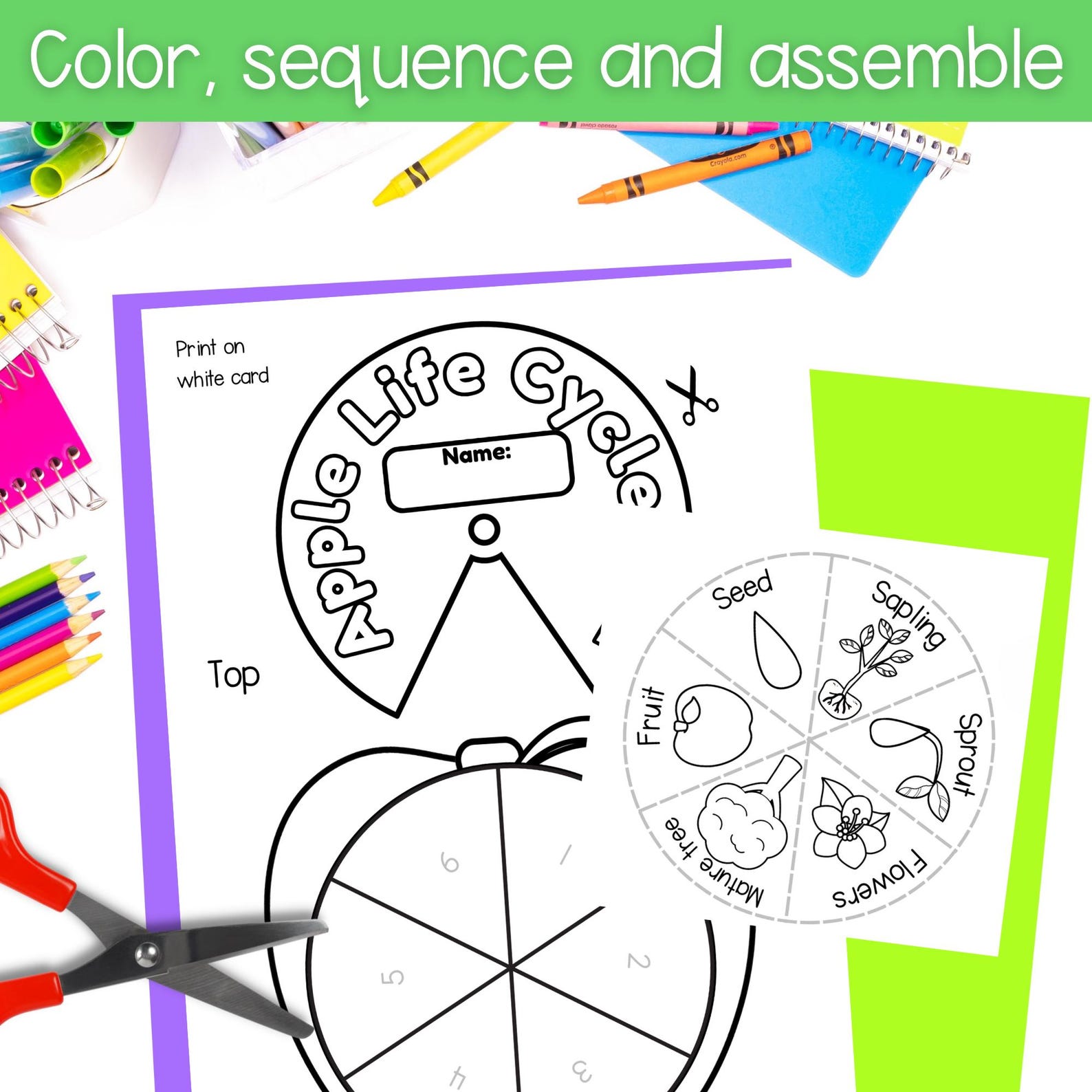 Apple Tree Life Cycle Foldout and Spinner Wheel Craft Activity Cut and ...