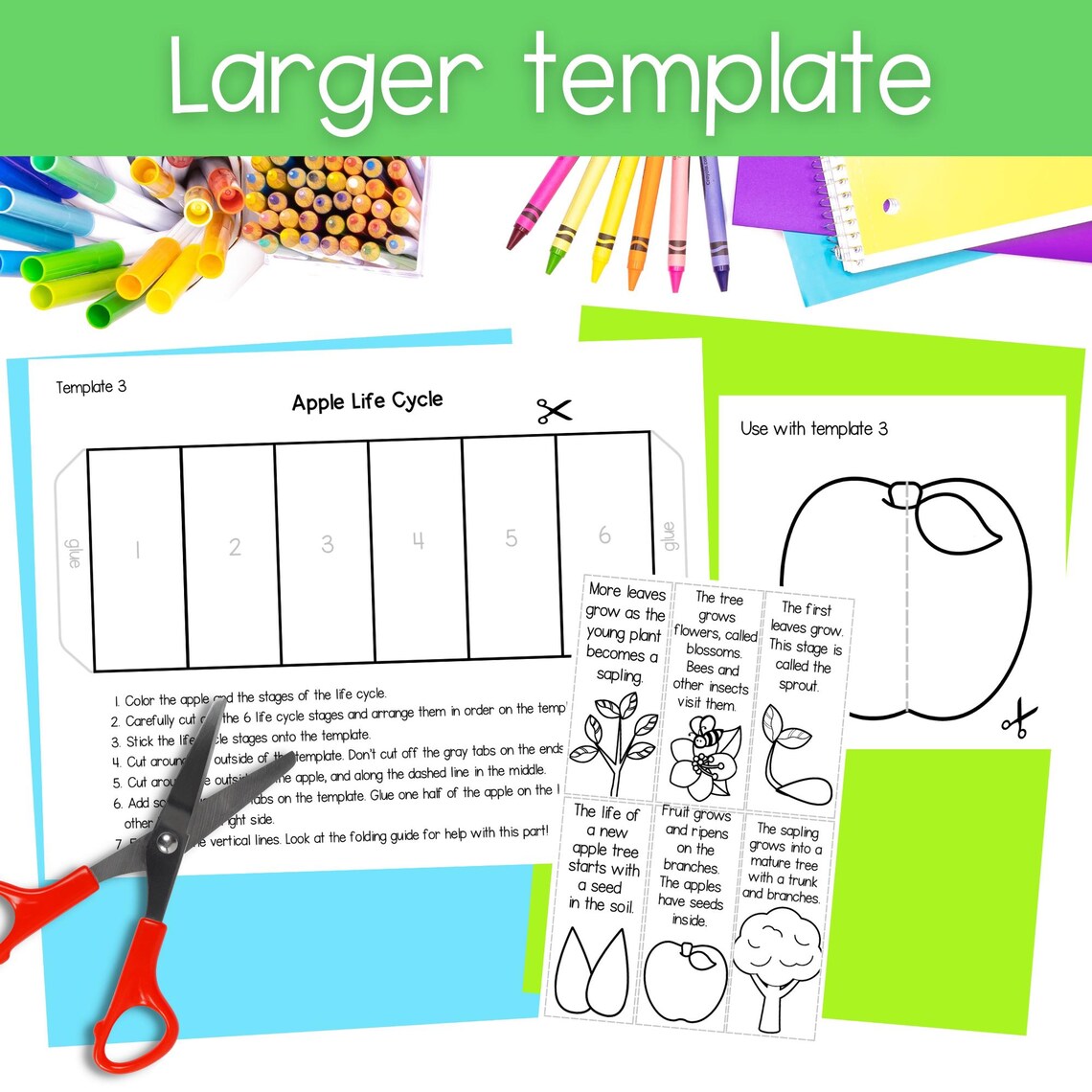 Apple Tree Life Cycle Foldout and Spinner Wheel Craft Activity Cut and ...
