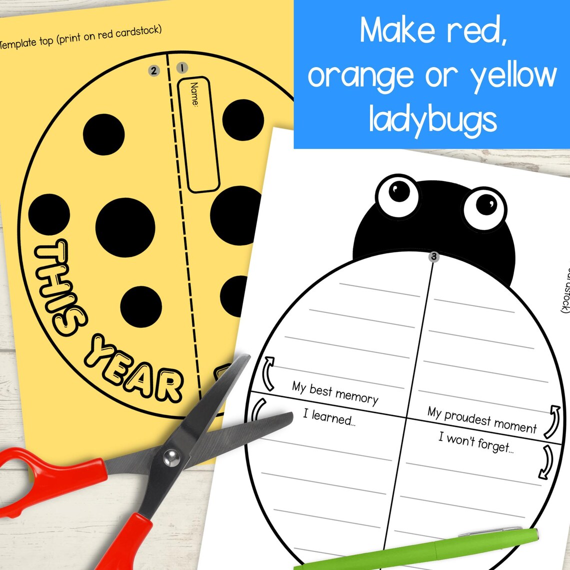 Last Day Week of School End of Year Ladybug Ladybird Reflection Memory ...
