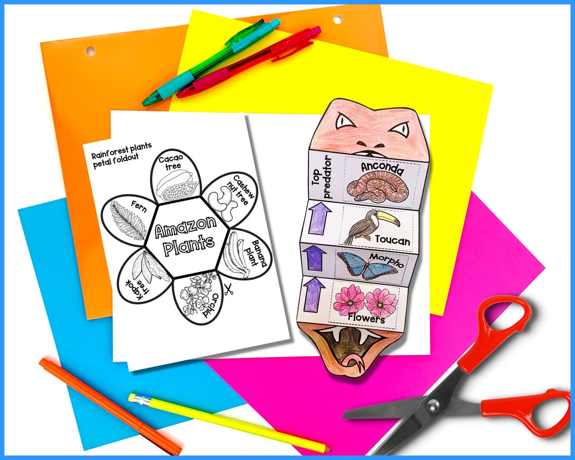 Amazon Lapbook Foldable Printable Templates Digital Download Kids ...