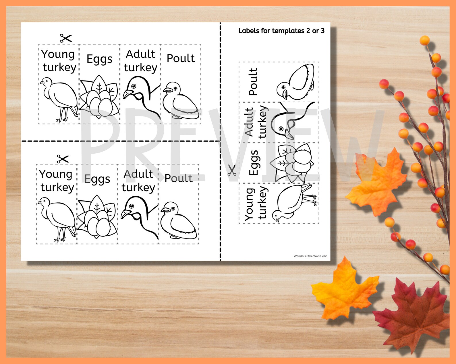 Life Cycle of a Turkey Foldable Kids' Craft 11x8.5 Inch - Etsy UK