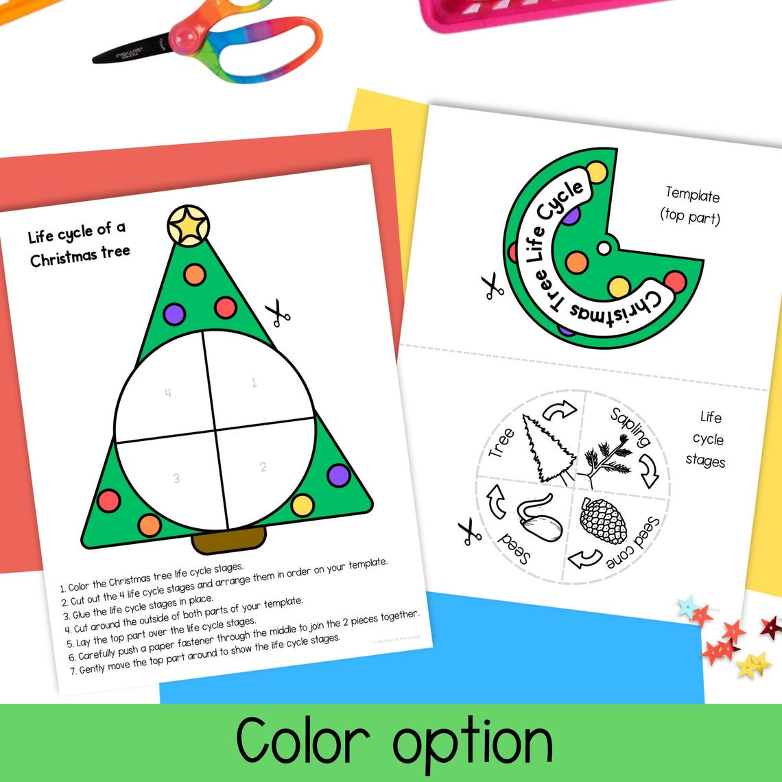Life Cycle of a Coniferous Christmas Tree Sequencing Spinner Wheel ...