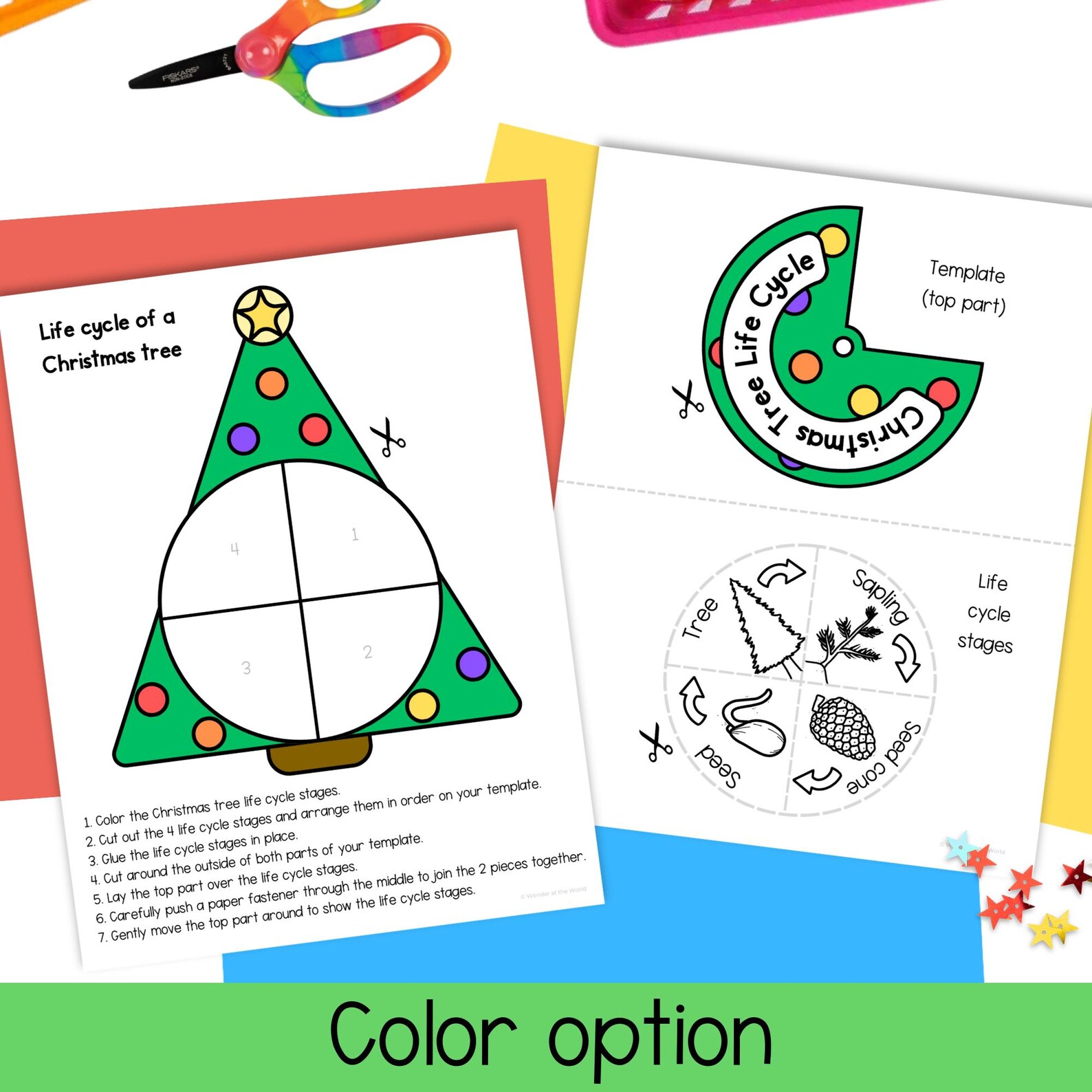 Life Cycle of a Coniferous Christmas Tree Sequencing Spinner Wheel ...