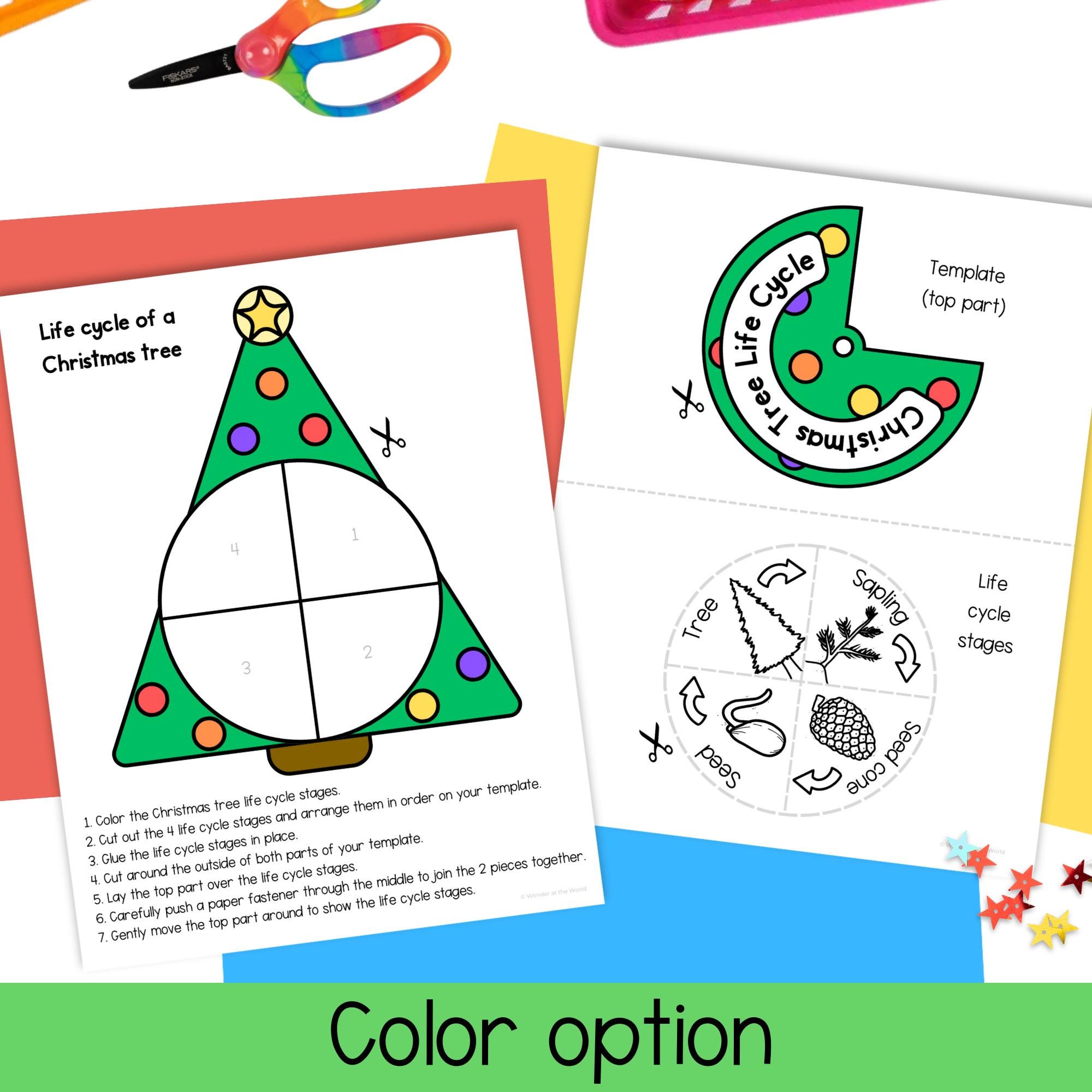Life Cycle of a Coniferous Christmas Tree Sequencing Spinner Wheel ...