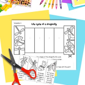 Life Cycle of a Dragonfly Foldout Kids' Science Craft | A4 and 11x8.5 ...