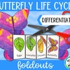 Plants Science Display for Classroom Bulletin Board Display Plant ...