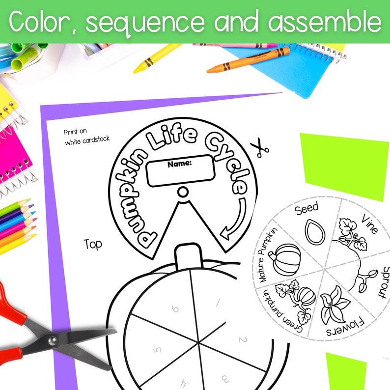 Life Cycle of a Pumpkin Spinner Wheel Sequencing Activity Fall Science ...