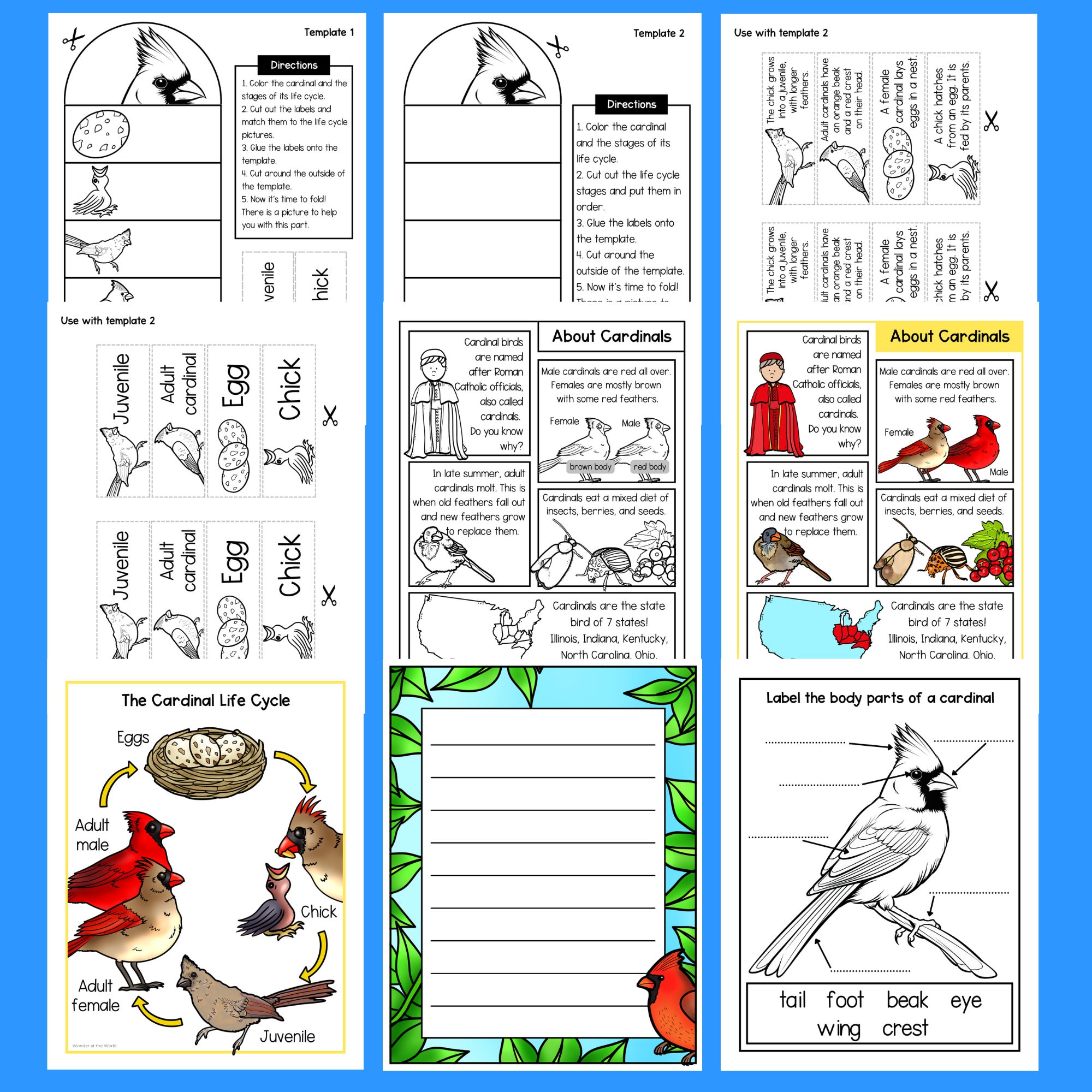 Life Cycle of a Northern Cardinal Bird Foldable Sequencing Activity for ...