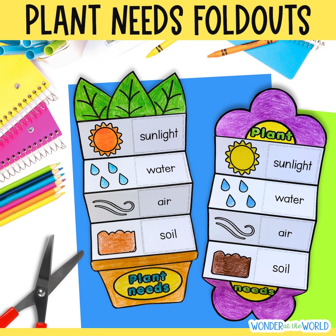 What a Plant Needs to Grow Science Craft for Kindergarten First Grade ...