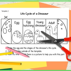 Life Cycle of a Dinosaur Foldable Activity for Kids | Dinosaur ...