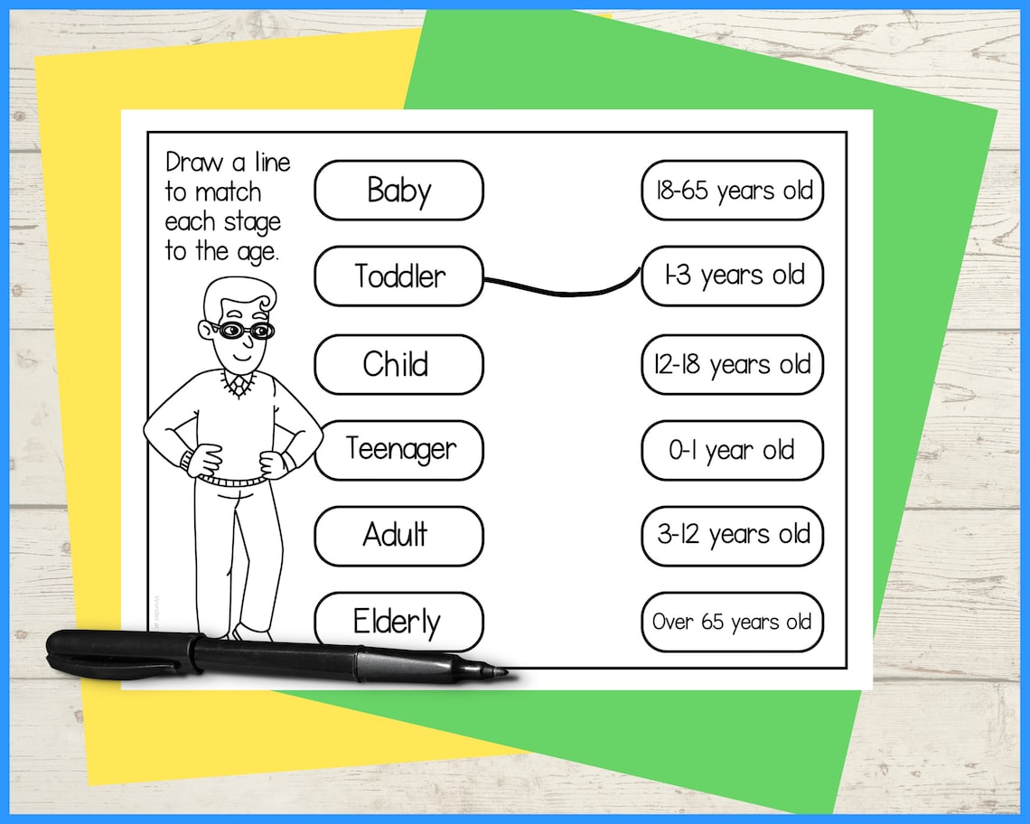 Human Life Cycle Foldable Sequencing Activity for Kids Printable US ...