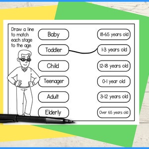 Human Life Cycle Foldable Sequencing Activity for Kids | Printable US ...