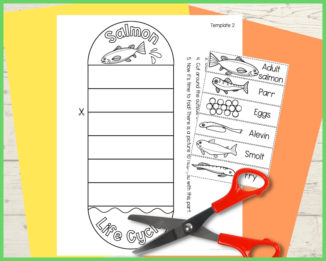 Life Cycle of a Salmon Fish Sequence and Fold Science Activity ...