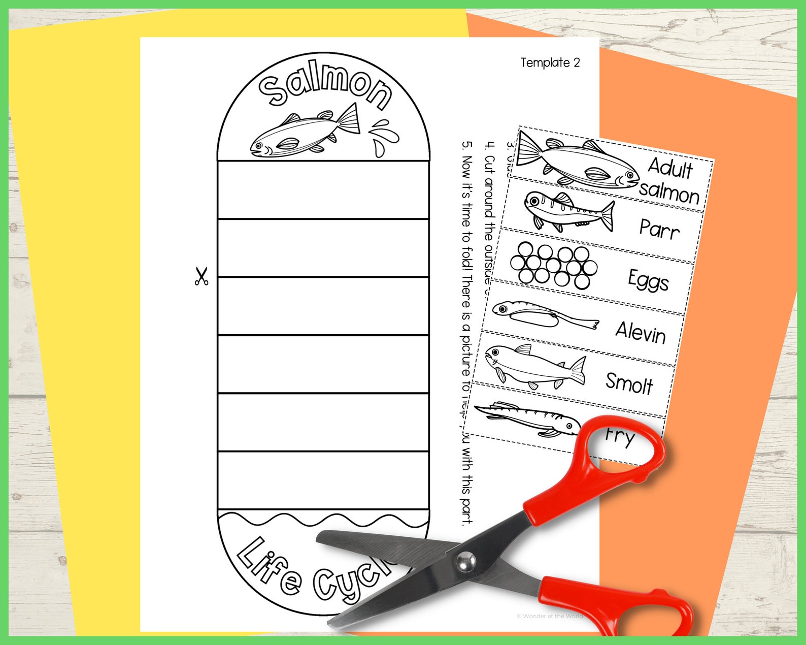 Life Cycle of a Salmon Fish Foldable Science Activity and Vocabulary ...