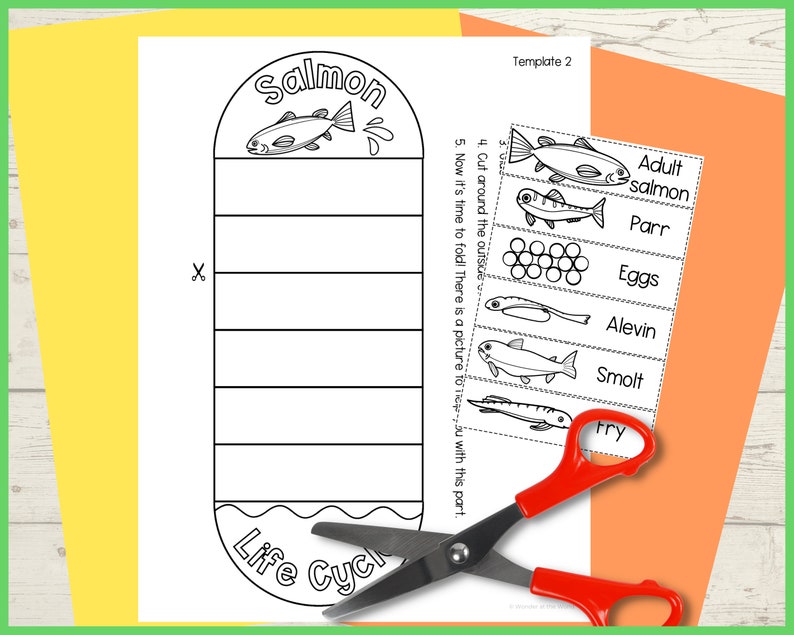 Life Cycle of a Salmon Fish Sequence and Fold Science Activity ...