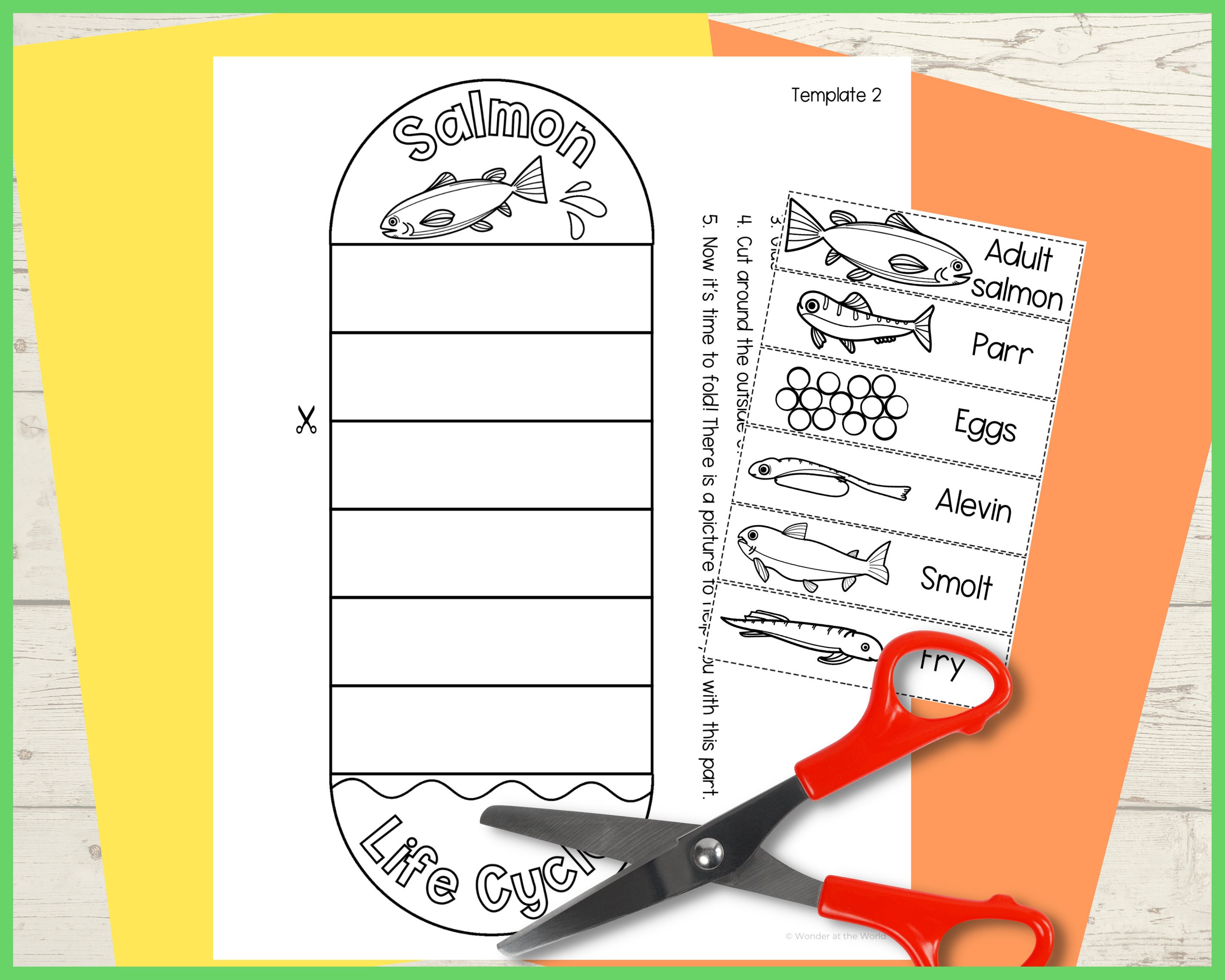 Life Cycle of a Salmon Fish Foldable Science Activity and Vocabulary ...
