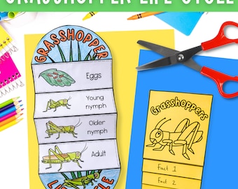 Life Cycle of a Grasshopper Insect Foldable Sequencing Activity Cut and ...