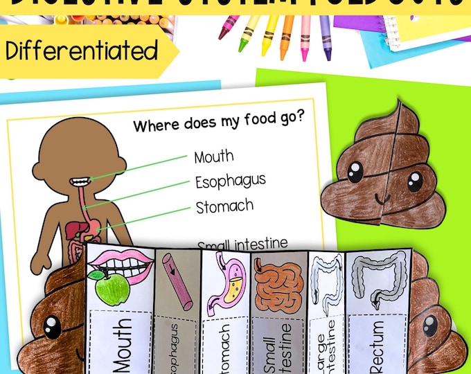 The Digestive System Poster, Anatomy Poster, Classroom Poster, Organs ...