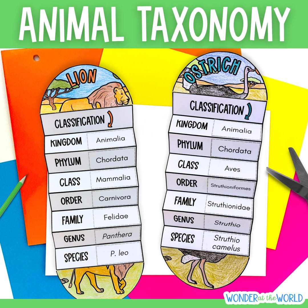 Animal Classification Taxonomy Research Cut and Paste Biology Activity ...