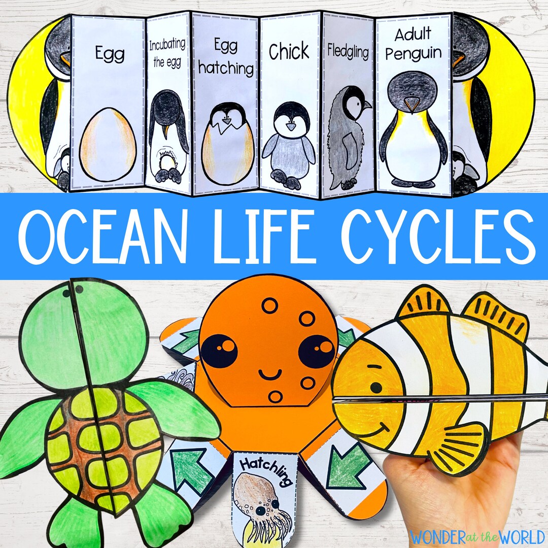 Ocean Animal Life Cycle Foldable Activities for Kids Clownfish Penguin ...