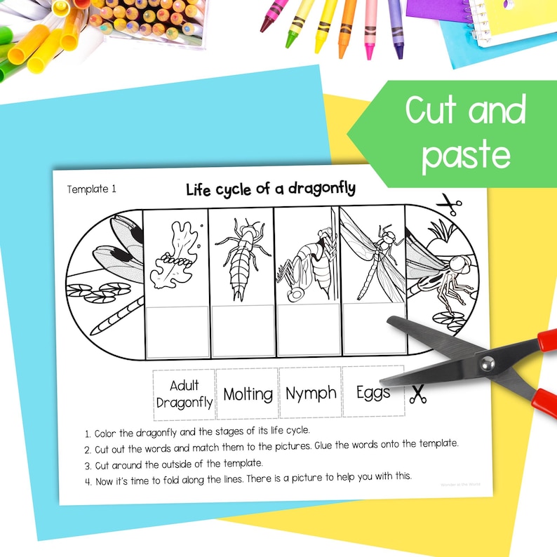 Life Cycle of a Dragonfly Foldout Kids' Science Craft | A4 and 11x8.5 ...