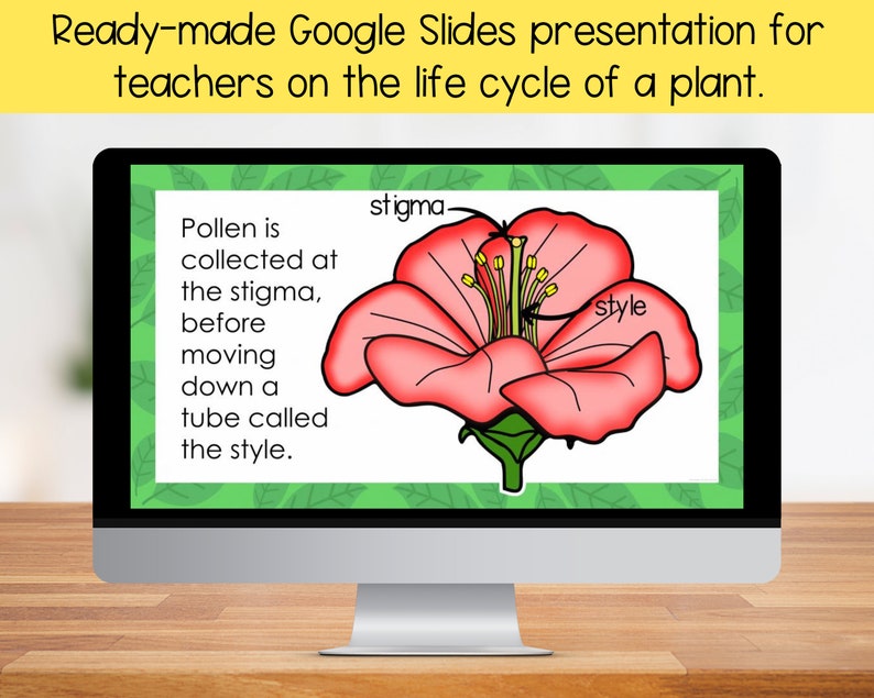 Life Cycle of a Flowering Plant Google Slides Presentation for Teachers ...