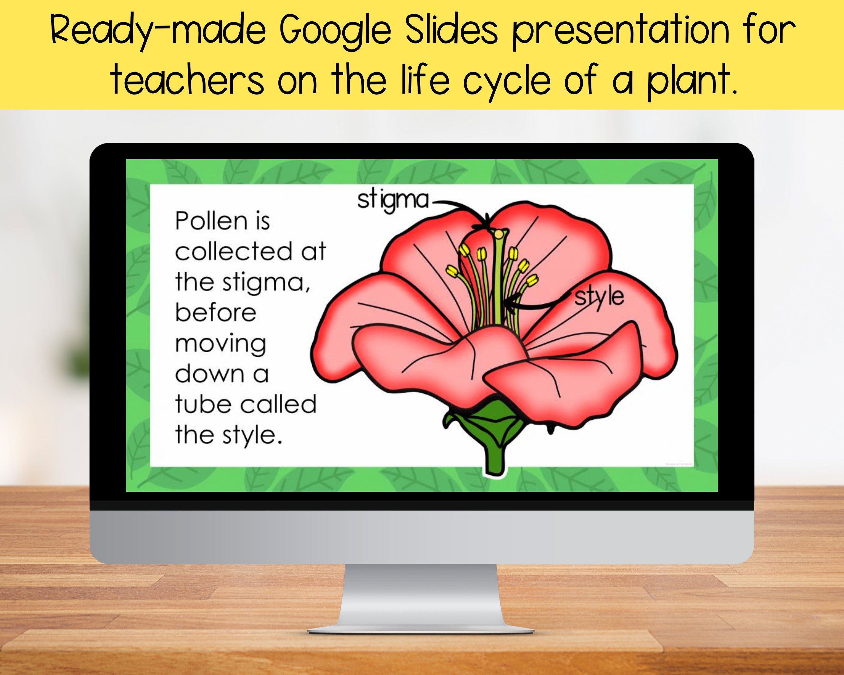 Life Cycle of a Flowering Plant Google Slides Presentation for Teachers ...