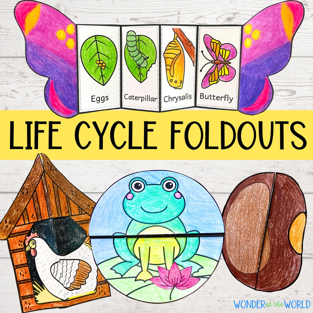 Life Cycles Foldable Science Cut and Paste Activities Butterfly Bean ...