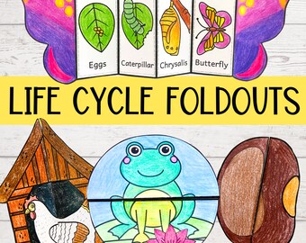 Cactus Life Cycle Learning Activity for Kids A4 and 11x8.5 Inch Digital ...