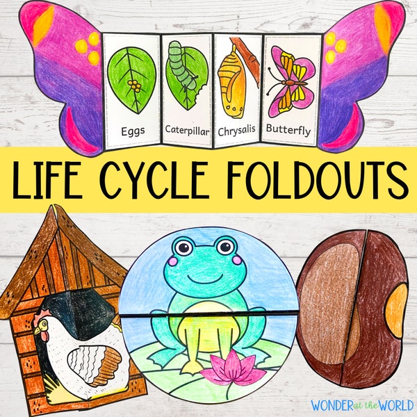 Butterfly Life Cycle - Etsy