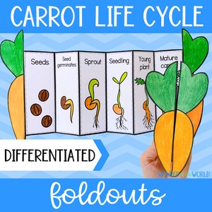 Life Cycle of a Carrot Plant Foldable Cut and Paste Sequencing - Etsy