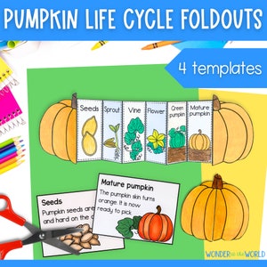 Life Cycle of a Pumpkin Foldable Activity for Kids | A4 and 11x8.5 Inch ...