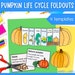 Life Cycle of an Apple Tree Foldable Activity for Kids Printable A4 and ...